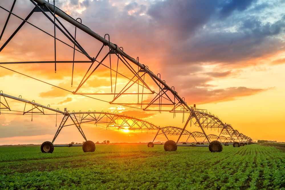 How To Rock The Agricultural Industry With Business Intelligence